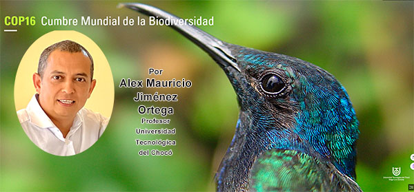 COP16 Cumbre Mundial de la Biodiversidad - Chocó7días.com